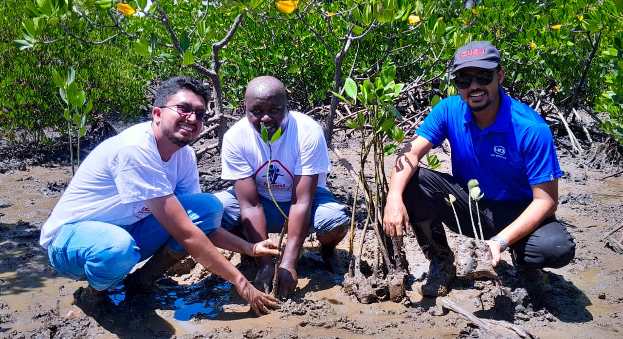 MANGROVE TREES REAFFORESTATION INITIATIVE IN MCHANJAMA CREEK ALONG ...